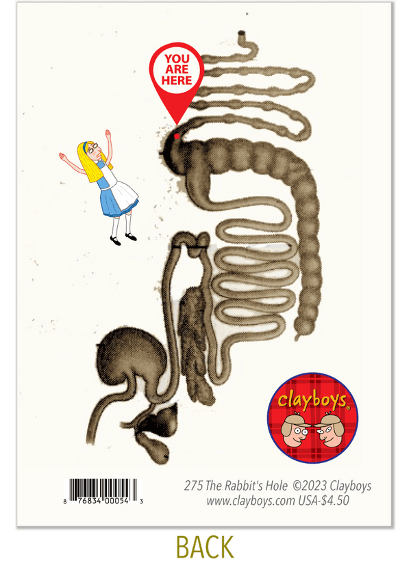 275 Rabbit's Hole Funny Alice in Wonderland Birthday Card Clayboys ...