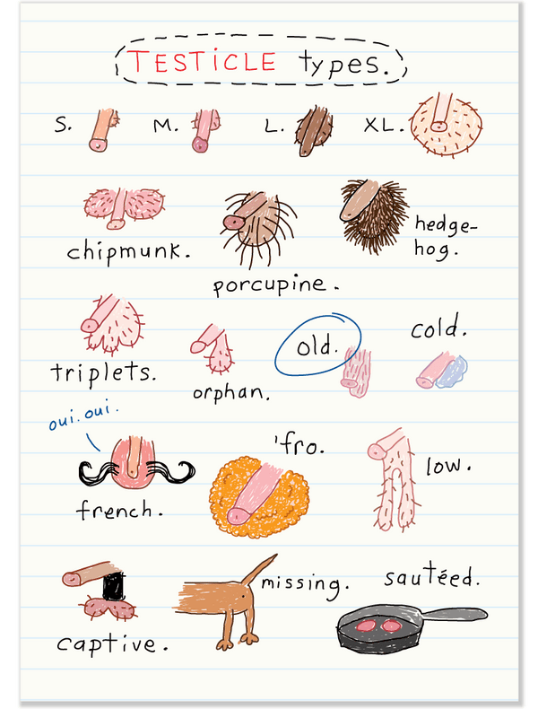 550 Testicle Types (Birthday Card) - Clayboys Cards